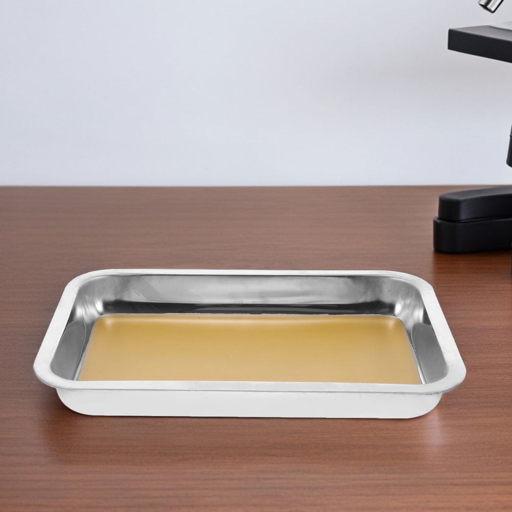 Worgeous 2pcs Stainless Steel Dissection Tray With Wax Coating A4 ...