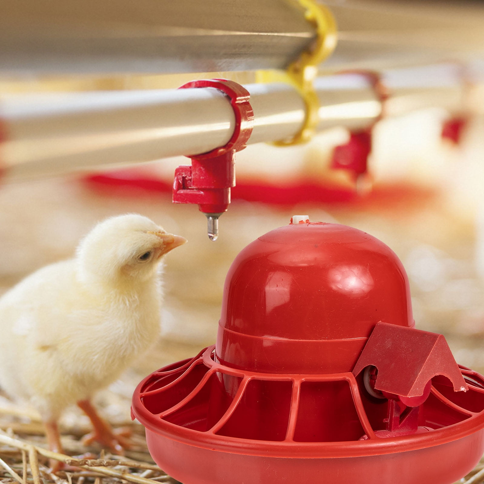 CIMAXIC Anti Overturning Water Feeder Poultry Water Dispenser Red PP ...