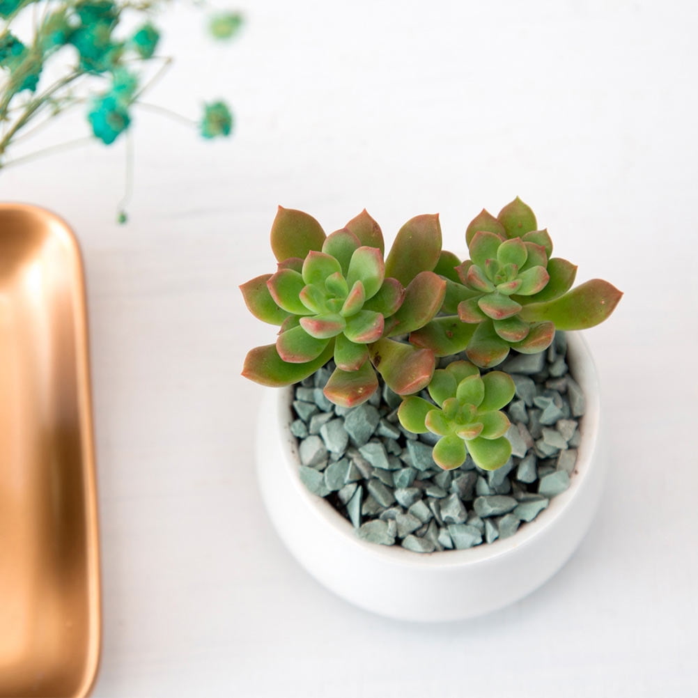 Worgeous 3 Pcs Mini Succulent Planter Faux Cute Planters Plants White ...