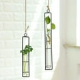 Worgeous 3 Pcs Wall-mounted Container Hanging Planter Green Multiple ...