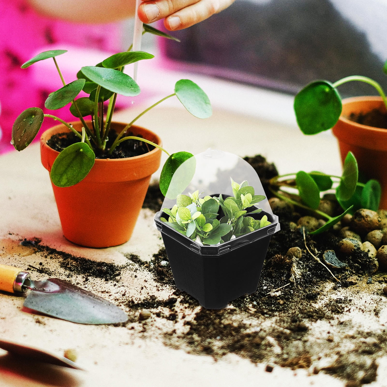 Worgeous 3 Sets Humidity Starter Plant Pots Propagation Containers ...