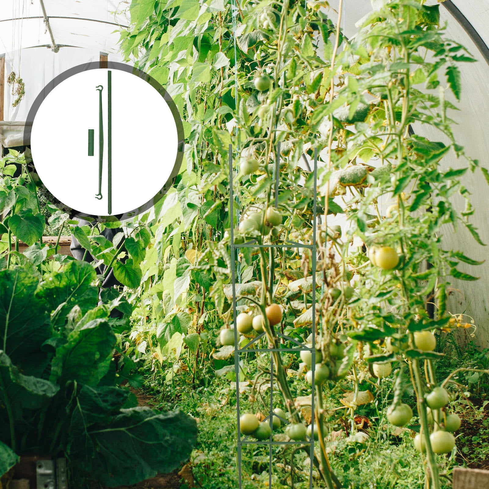Worgeous 3 Sets Tomato Stand Plant Trellis for Climbing Plants Indoor ...