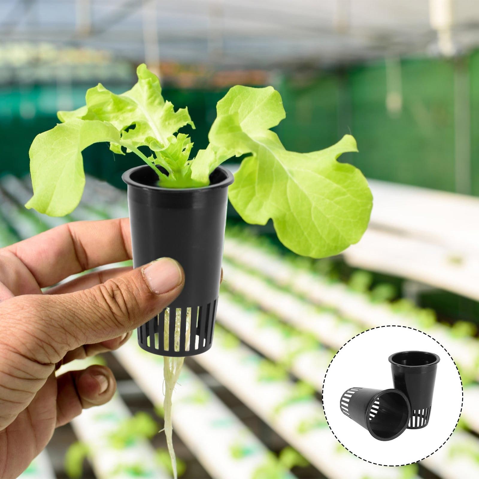 Worgeous 30 Pcs Planting Basket Vegetable Aquarium Substrate for Plants ...