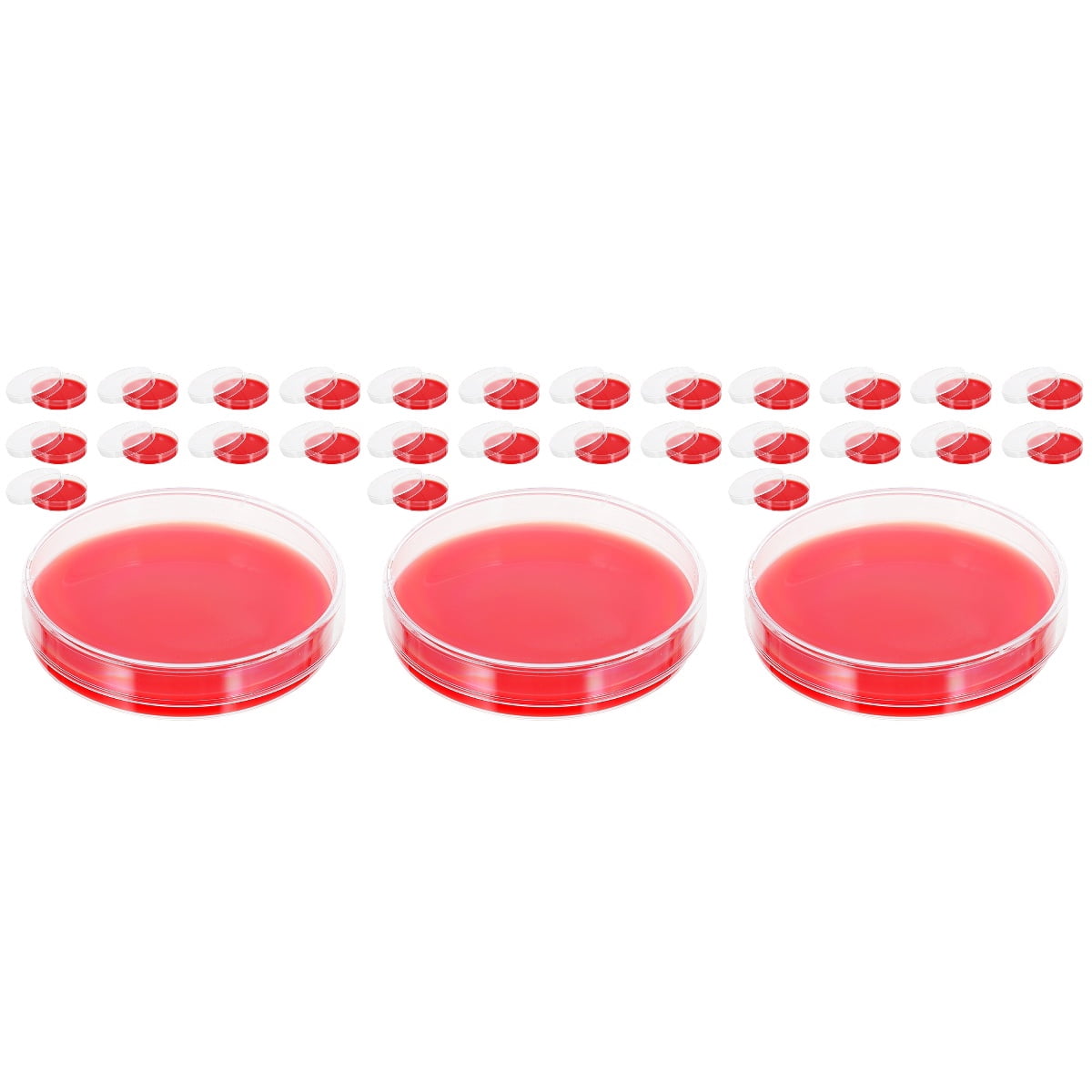Worgeous 30 pcs Infusion Agar Plates Blood Agar Culture Medium ...