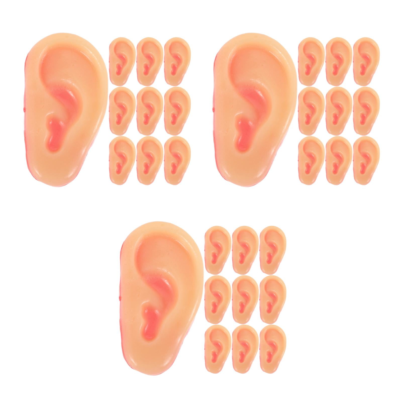 Worgeous 30 pcs Realistic Fake Ear Model Simulation Ear Models Fool's ...