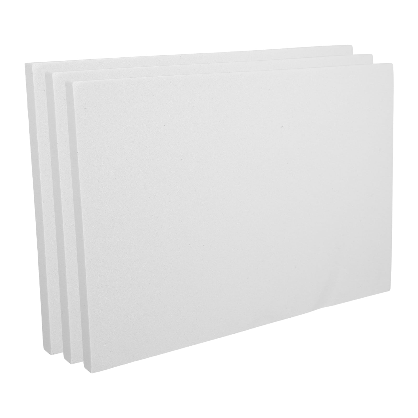 Worgeous 3pcs Insect Pinning Board Kit For Beginners Butterfly Specimen ...