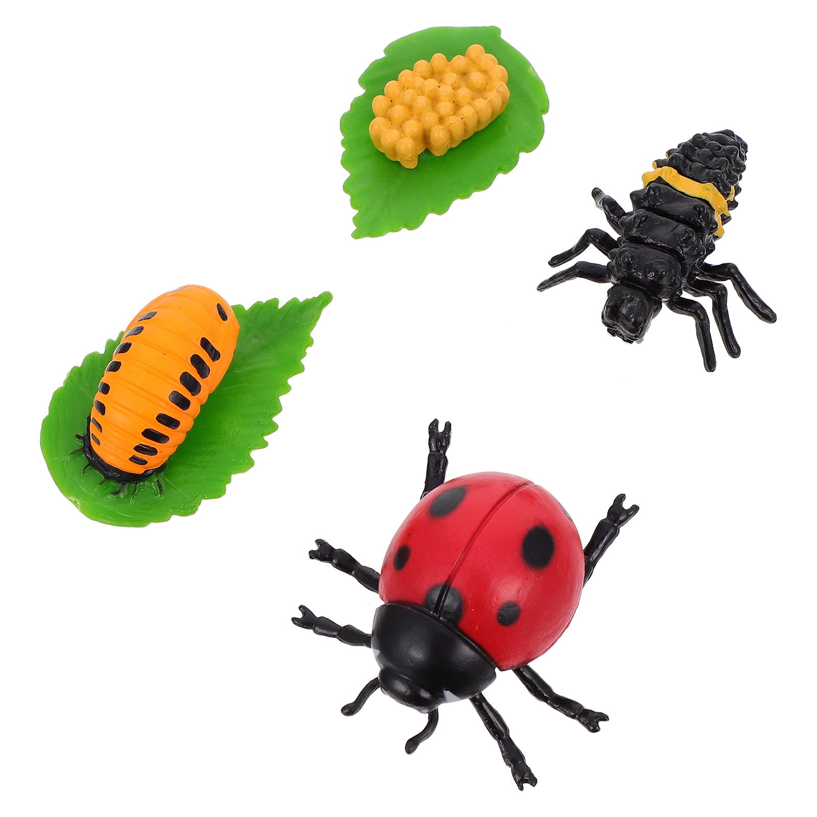 Worgeous 4 Pcs Kid Toys Ladybug Growth Model Insect Cycle Figurines ...