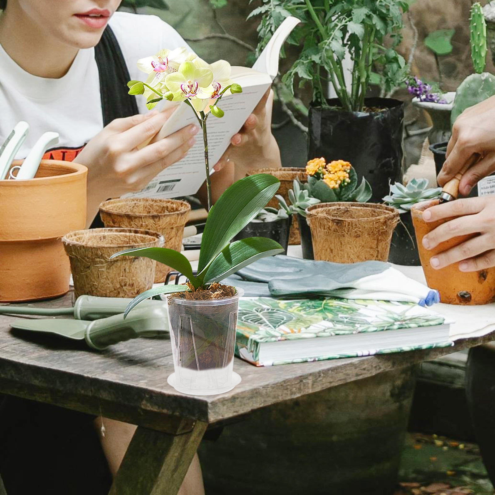 Worgeous 4 Sets Slotted Orchid Planter with Tray Mesh Net Flower Pots ...