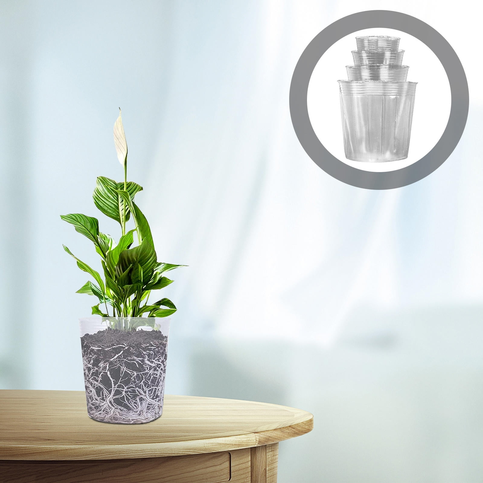 Worgeous 40 Pcs Nursery Cup Decor Clear Plants Orchid Floral Containers ...