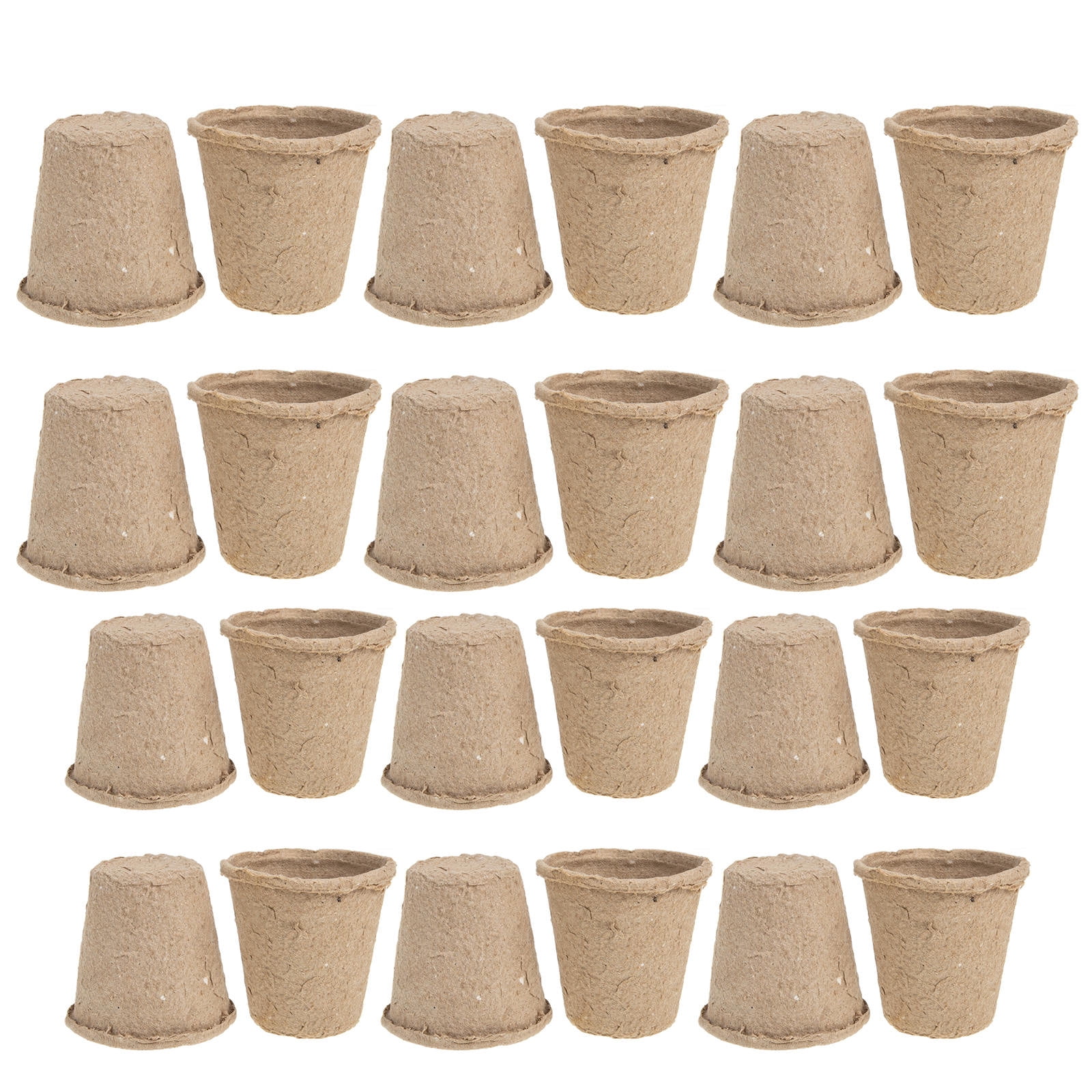 Worgeous 40 Pcs Plants Germination Cups Biodegradable Plants Growing ...