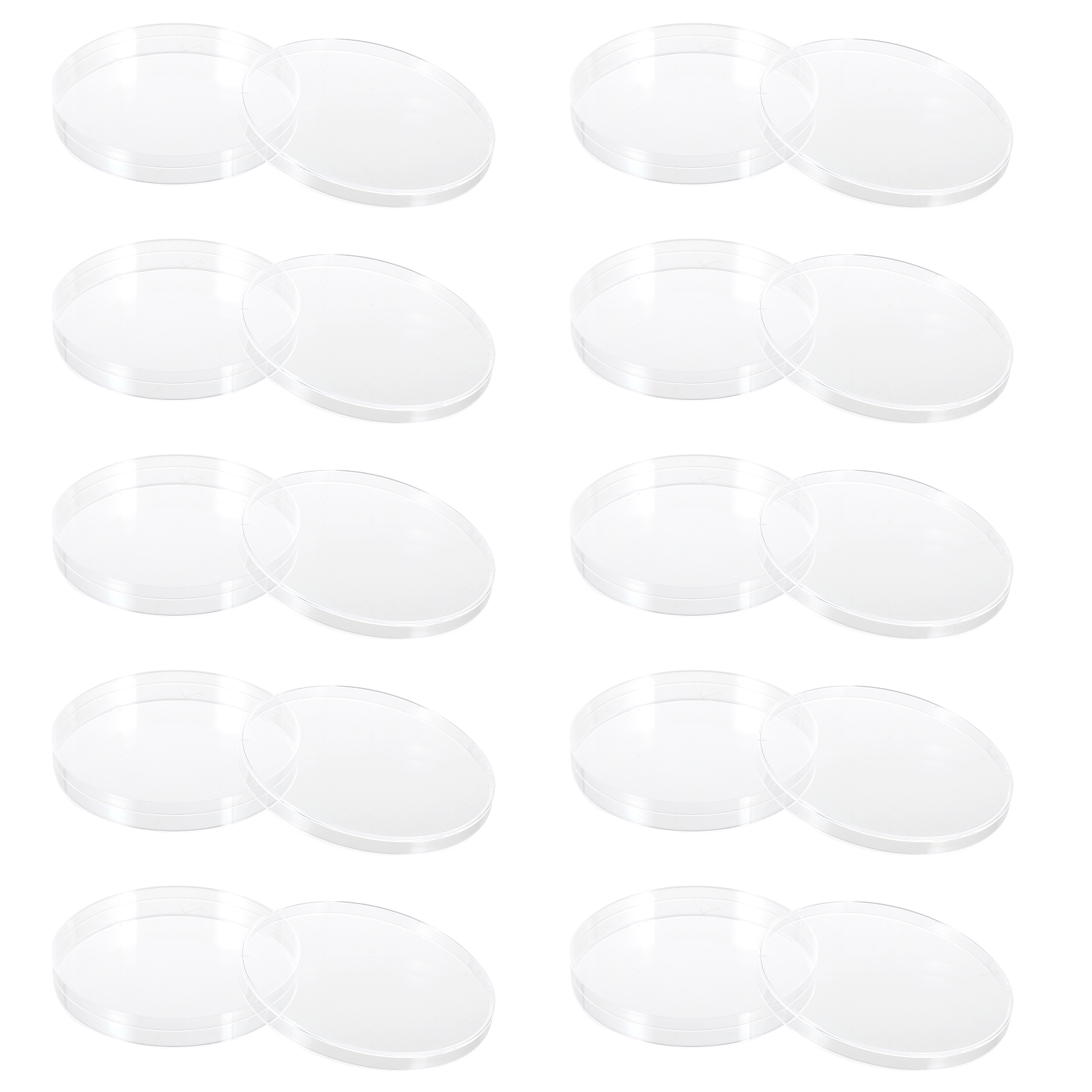 Worgeous 40 pcs Transparent Petri Dishes Useful Science Dish Light ...