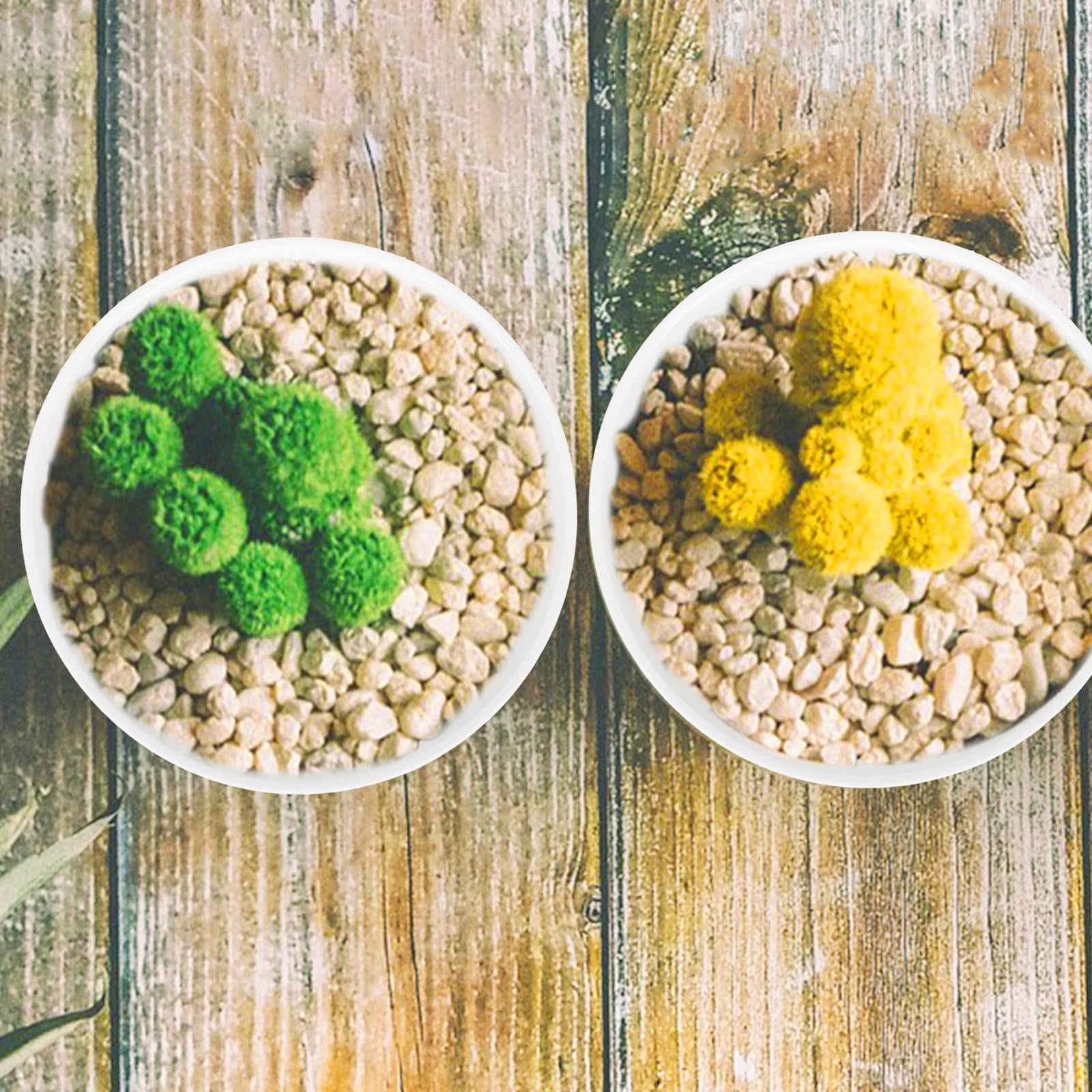 Worgeous 5 Pcs Straight Flower Pot Tall Plant Pots Indoor Plants White ...