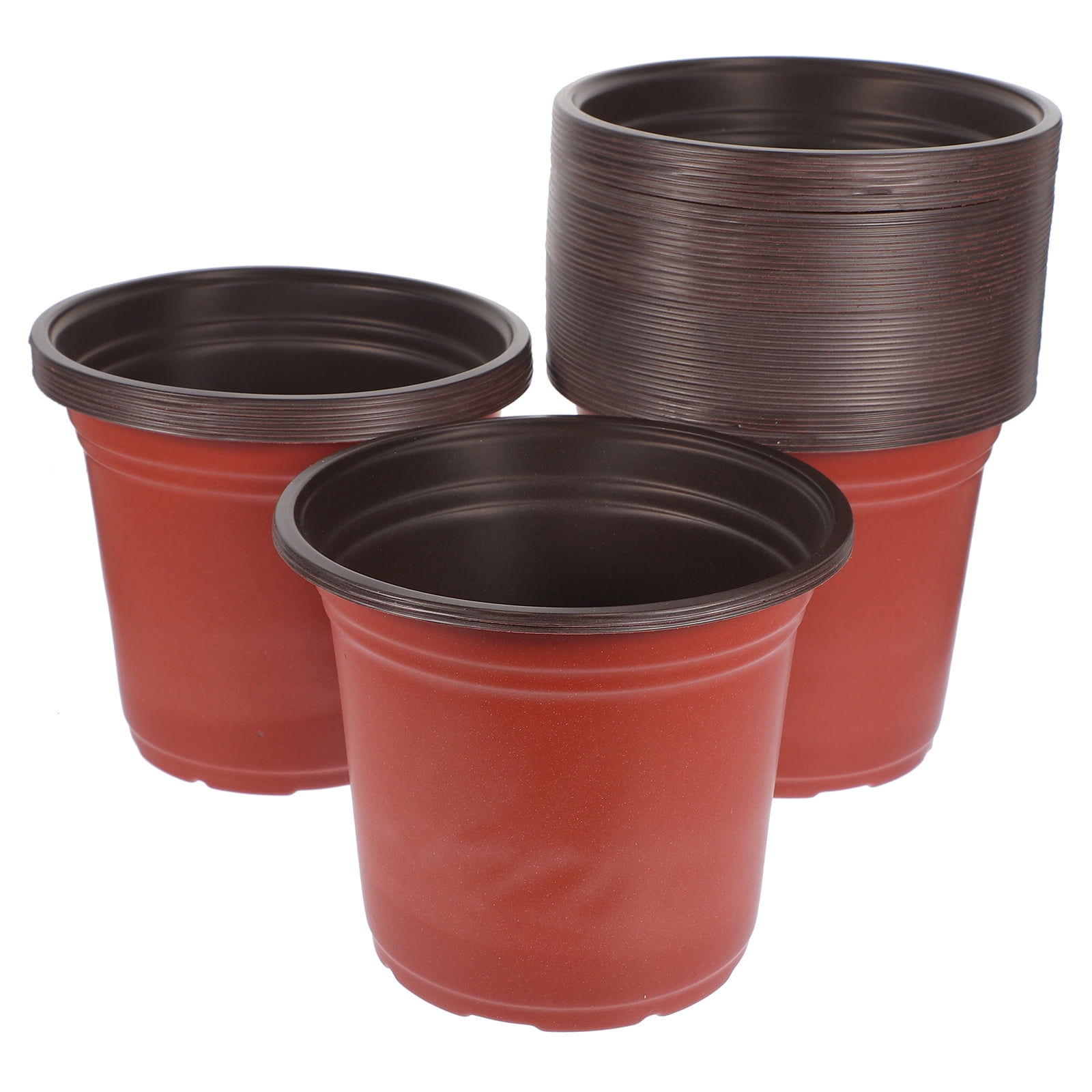 Worgeous 50 Pcs Succulent Planting Container Clear Pots for Indoor ... Worgeous 50 Pcs Succulent Planting Container Clear Pots for Indoor ...