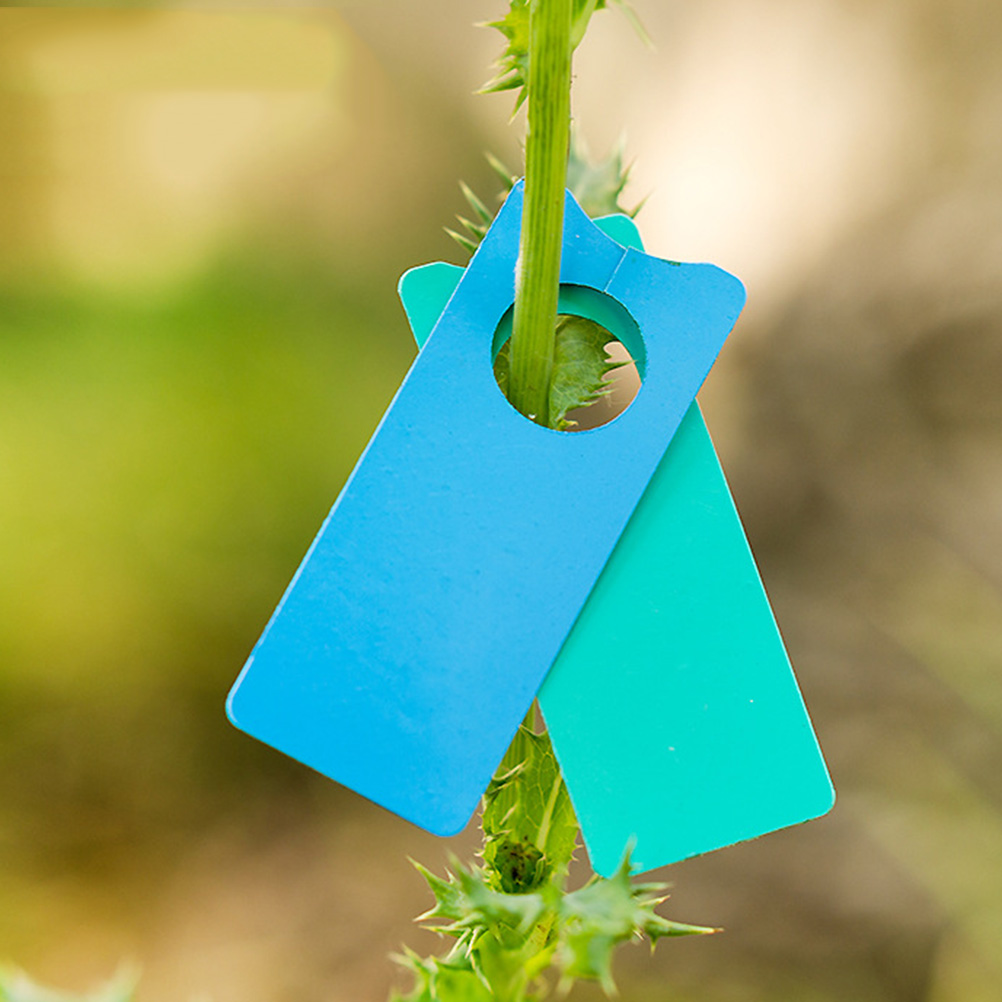 Worgeous 500 PCS Signage Nursery Garden Labels Tree Tags for Labeling ...