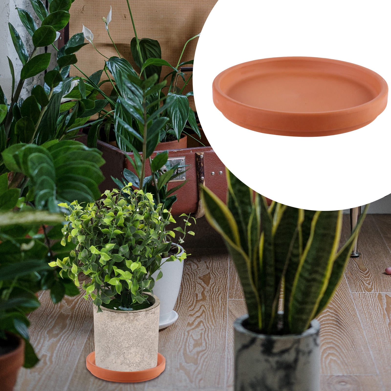 SWETRACE saucers for plants flower pot bottom tray Coffee Office 5Pcs ...