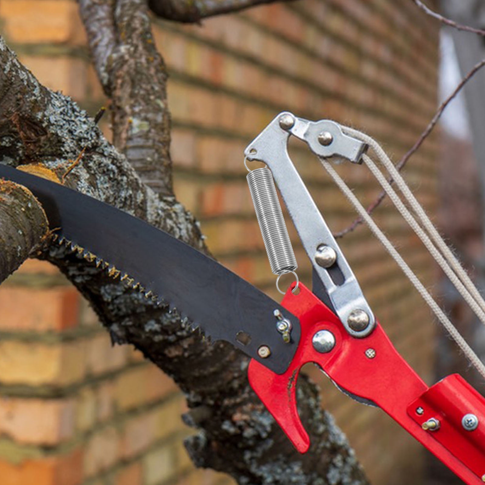 Worgeous expansion springs Compression Spring Steel Wire for ...