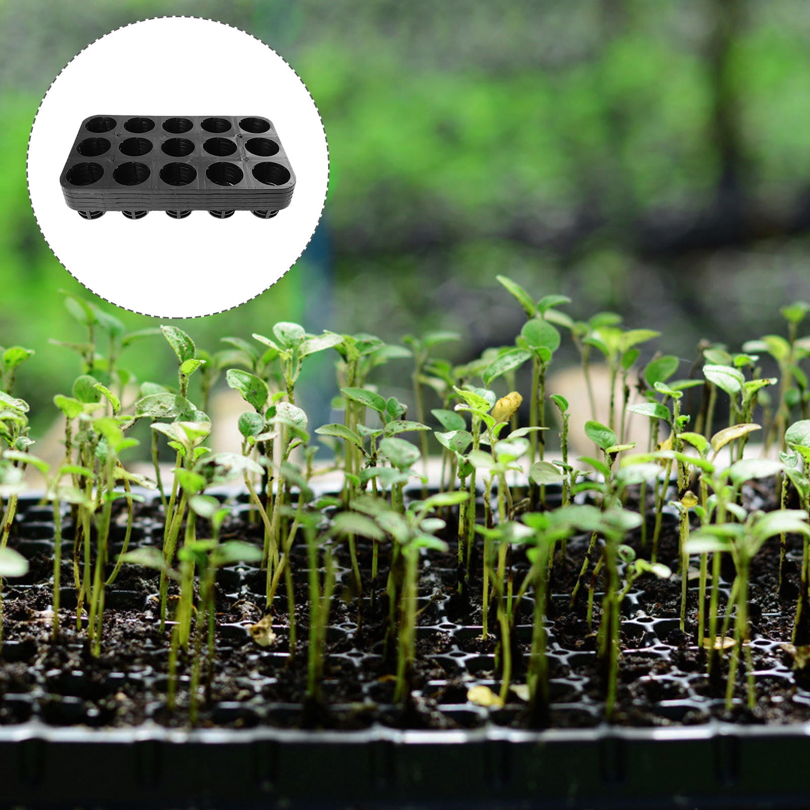 Worgeous 5pcs Plant Growth Trays Germination Plates Flower Planting ...