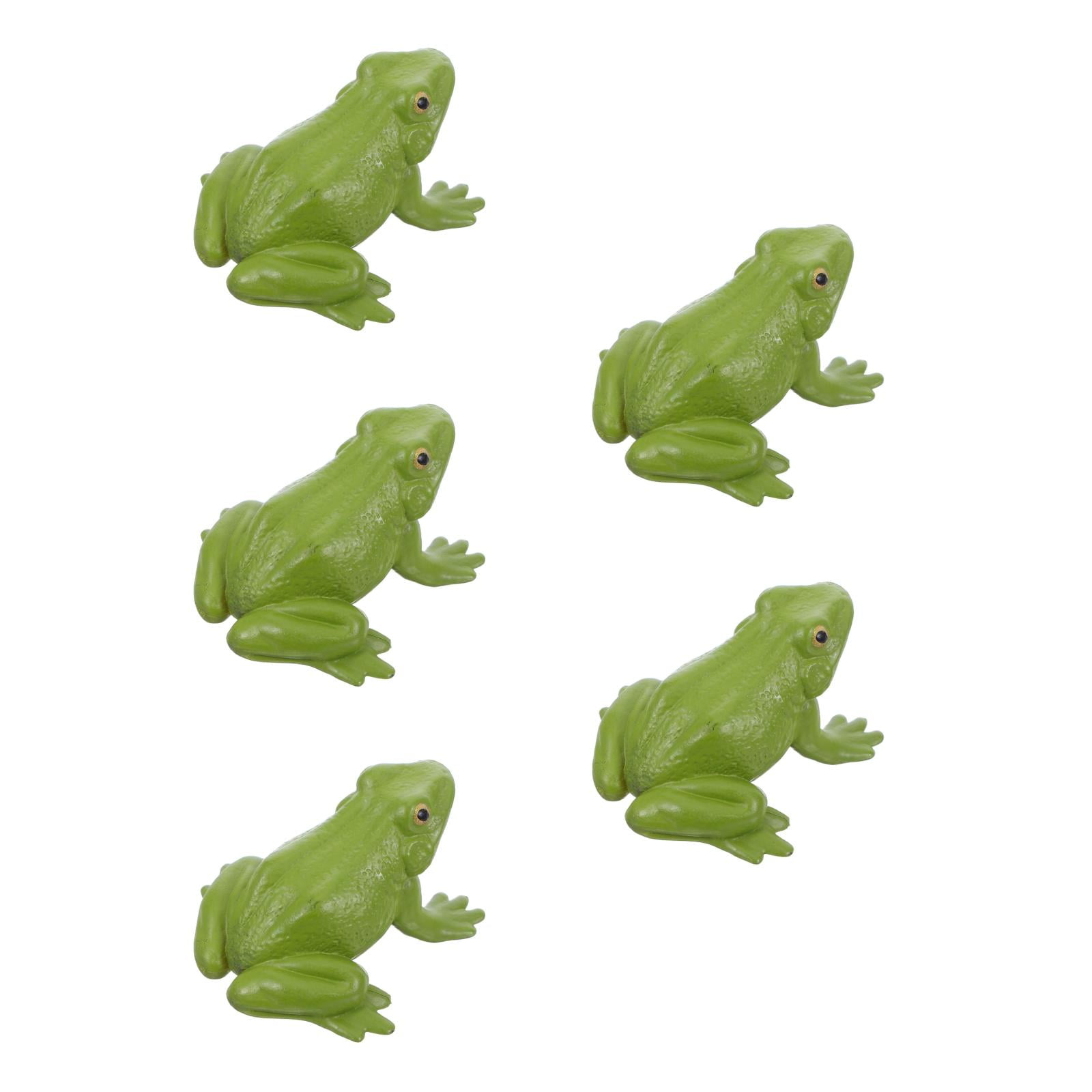 Worgeous 5pcs Realistic PVC Frog Toy for Children Lifelike Educational ...