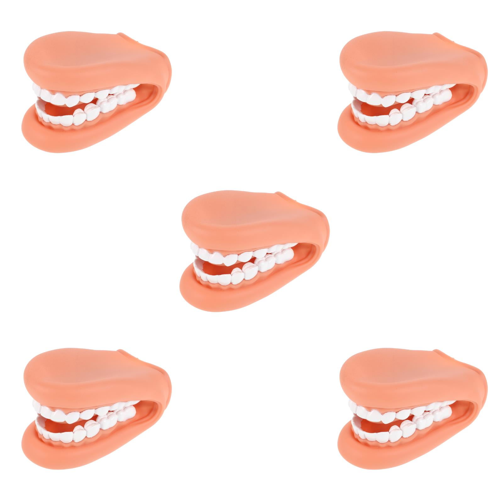 Worgeous 5pcs Standard Tooth Model Dental Mouth Model Tooth Teaching ...