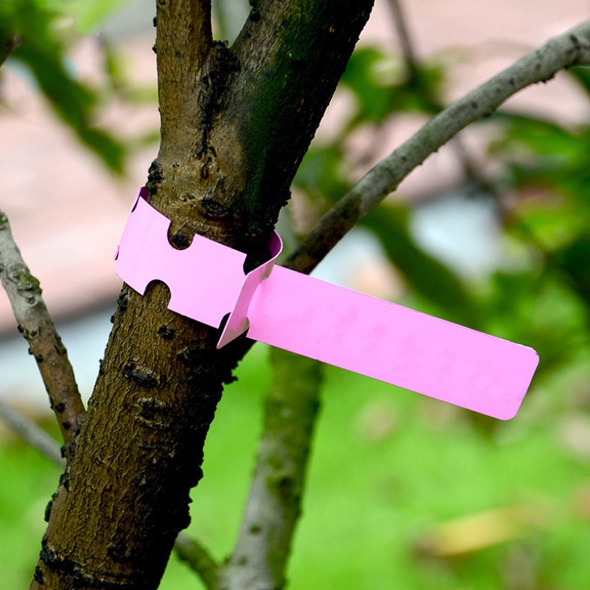 CIMAXIC Garden Ground Tag Waterproof Plant Labels PVC Durable ...