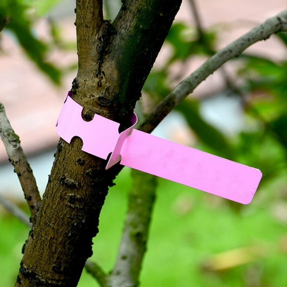 CIMAXIC Garden Ground Tag Waterproof Plant Labels PVC Durable ...