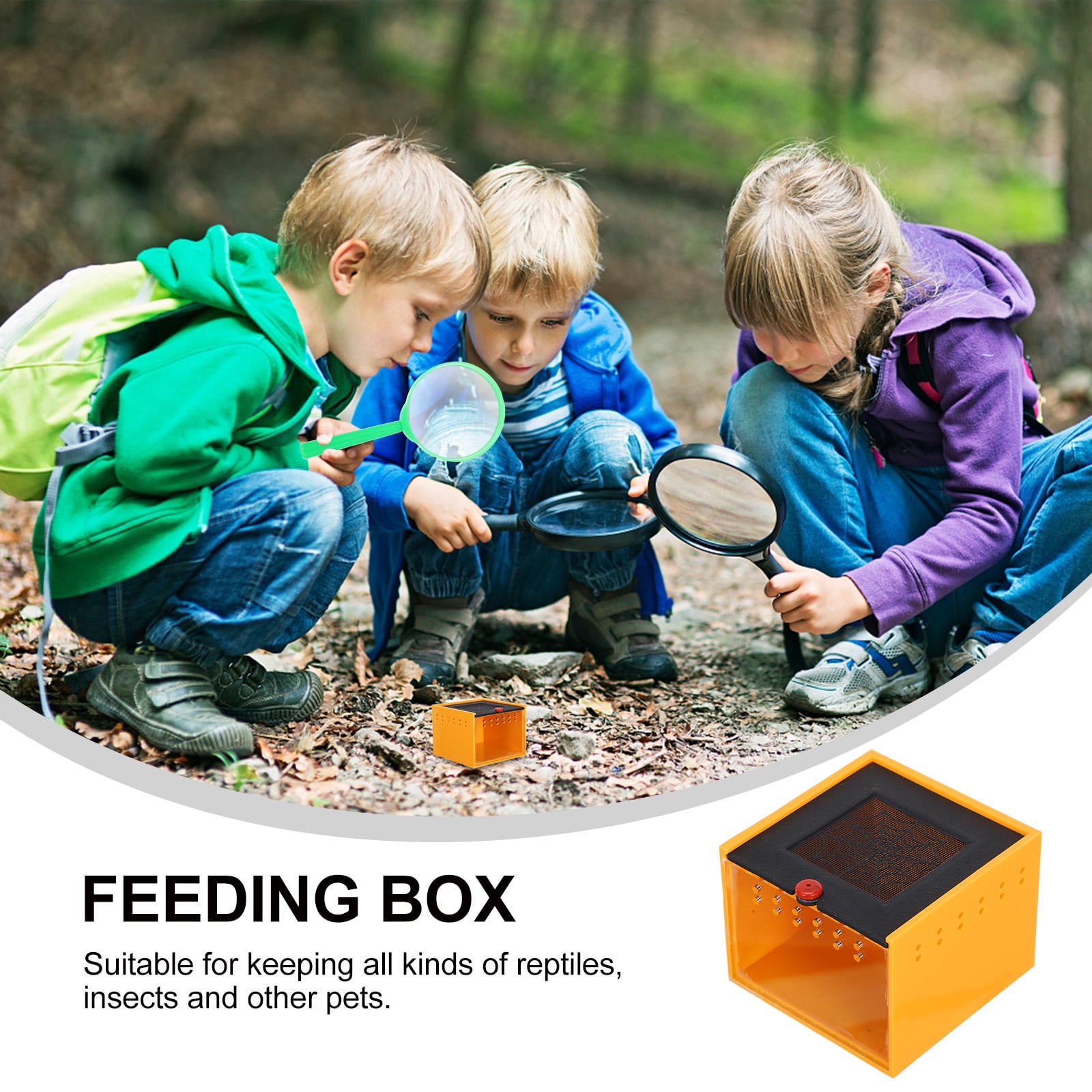 Worgeous Acrylic Terrarium For Spider Compact Spider Habitat Box ...