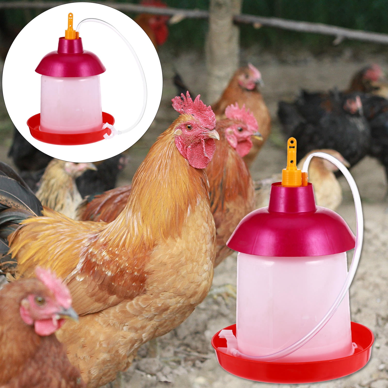 Worgeous Automatic Chicken Poultry Chick Hen Drinker Waterer Food ...