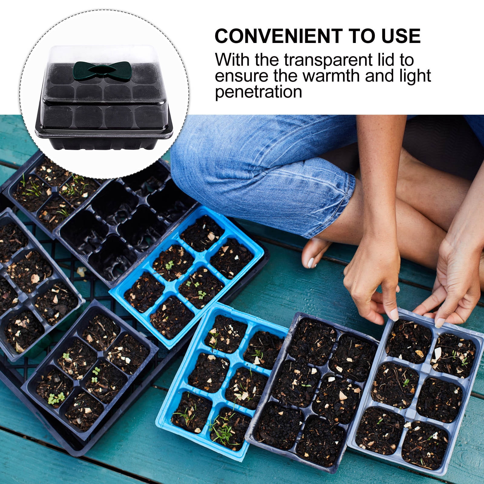 Worgeous Black Plastic Planting Boxes for Seedling with Transparent Lid ...