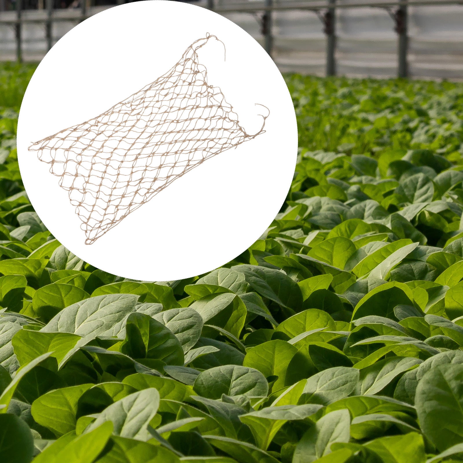 Worgeous Blanket Flax Soil Mesh Multi-use Netting Mesh Plant Climbing ...