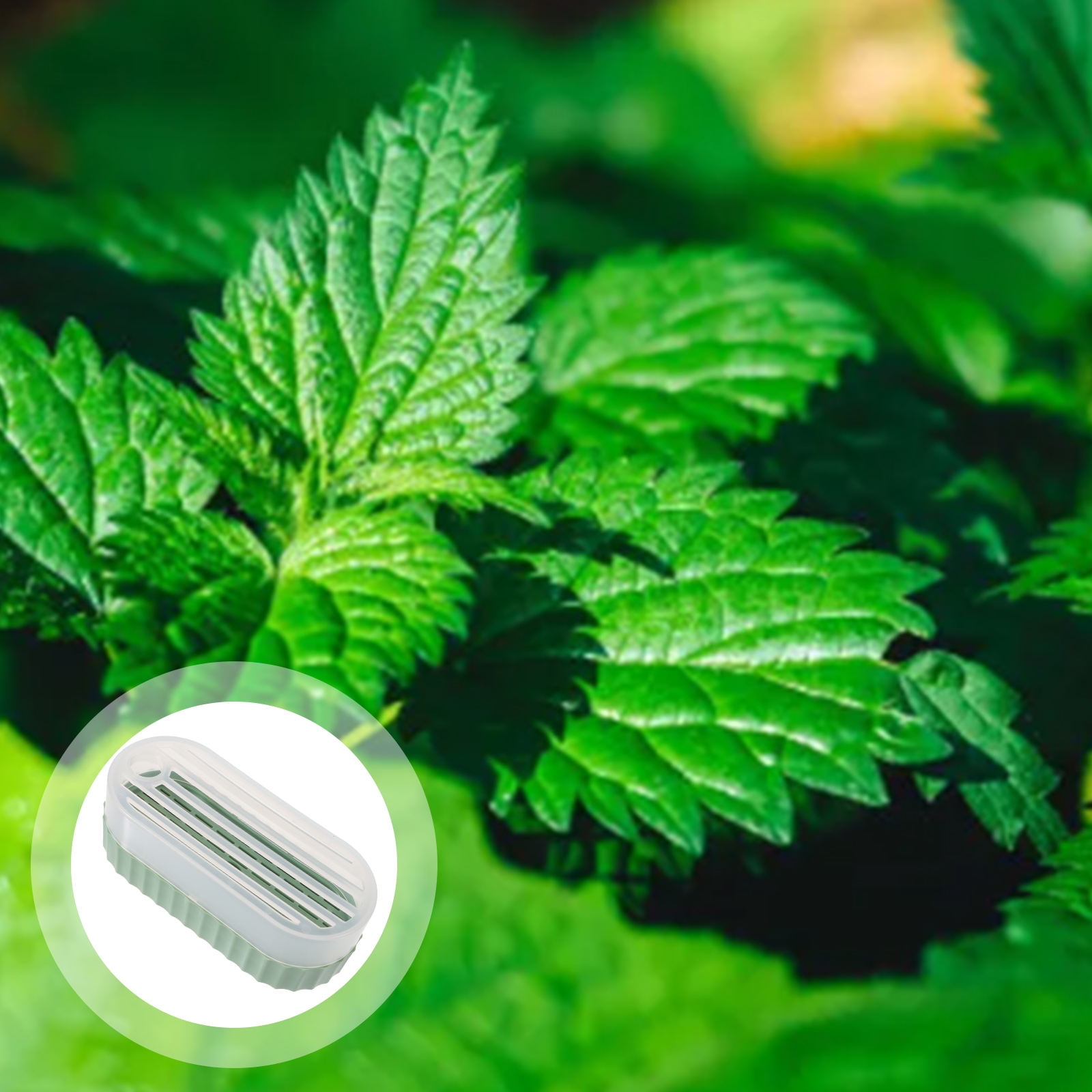 Worgeous Cat Straw Pot Set Grass Grower Container Planter Indoor ...