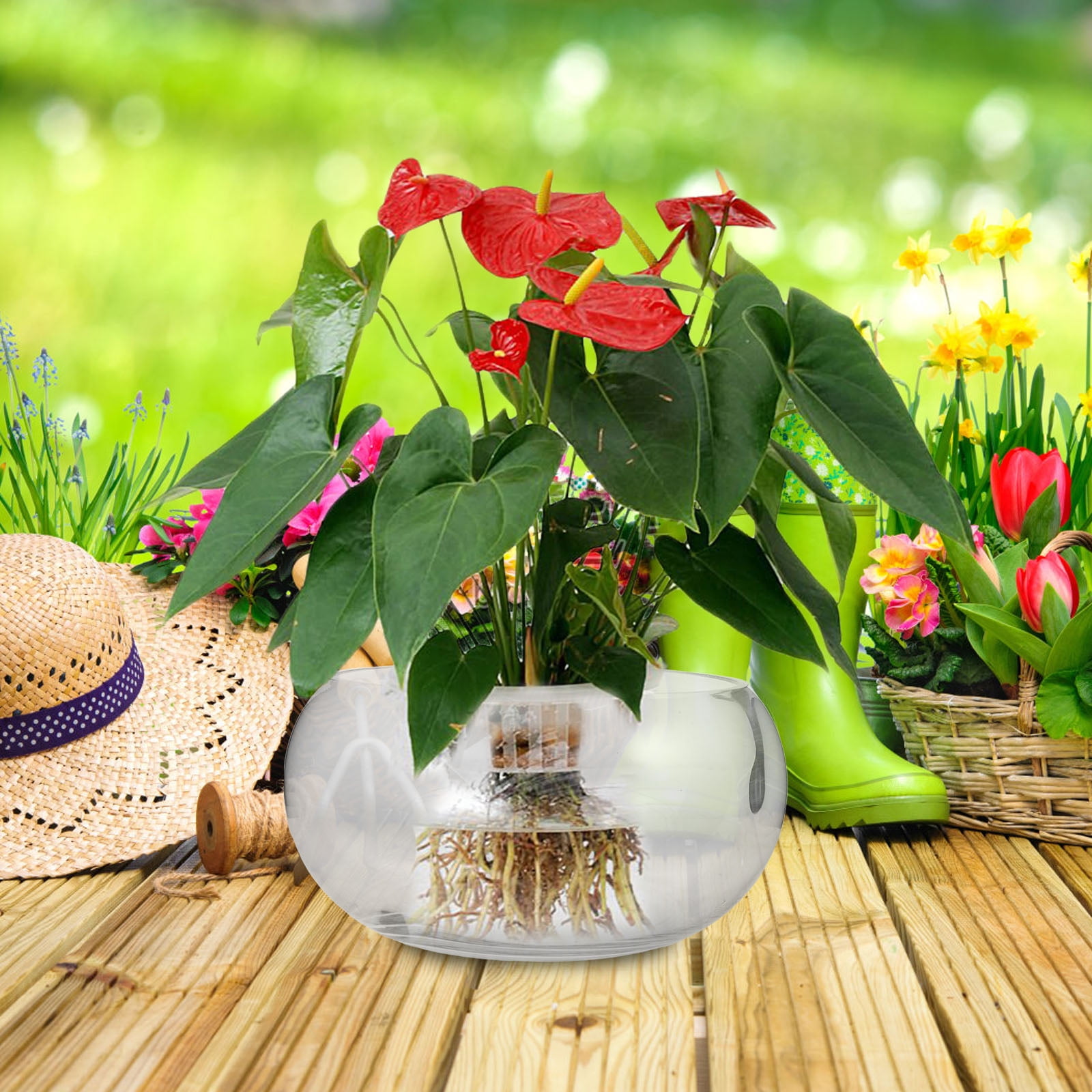 Worgeous Round Glass Vase Glass Fish Bowl Planter Transparent 1Pack For ...