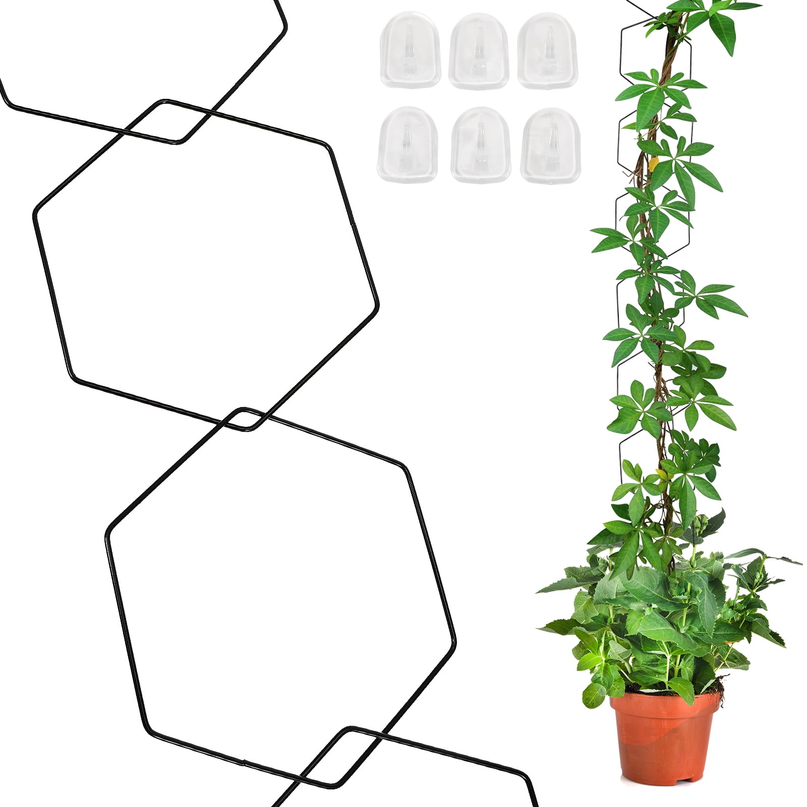 Worgeous Climbing Plant Wall Trellis Metal Hanging Net Hooks Houseplant ...