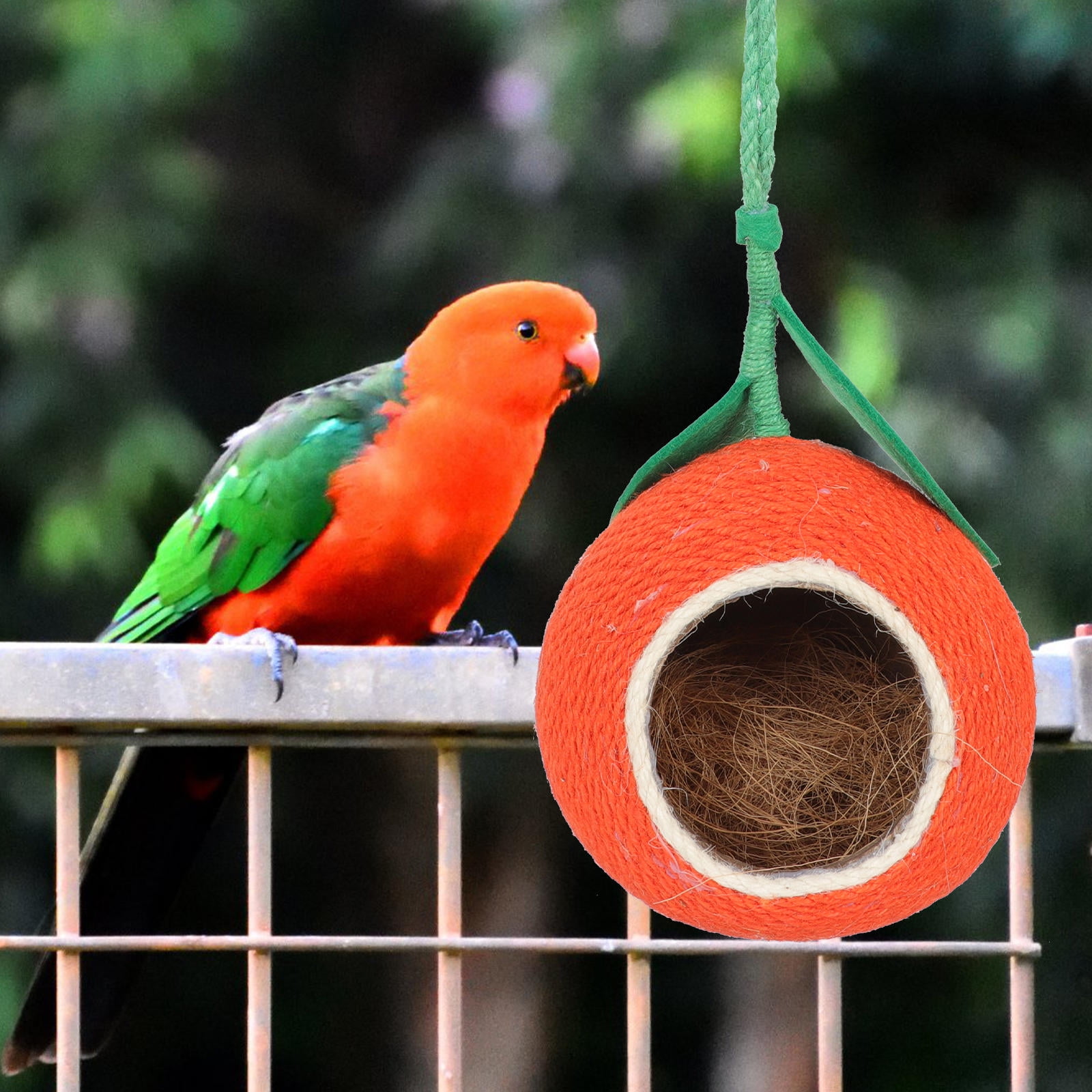 Worgeous Coconut Shell Bird Nest House Parrot Birdhouses Birds Orange ...