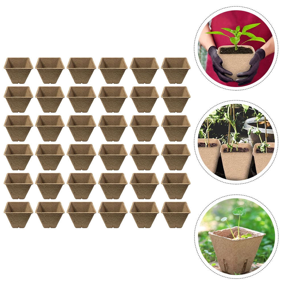 Worgeous Durable Paper Cups for Plant Nursery with Excellent ...