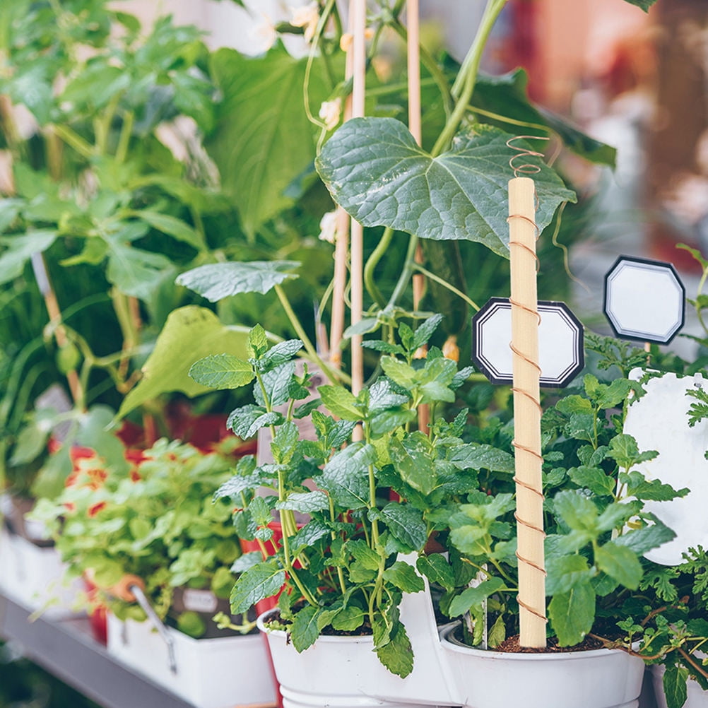 Worgeous Electro Culture Copper Gardening Antenna Kit with Wood Tools for Garden Planting 1 Set ...