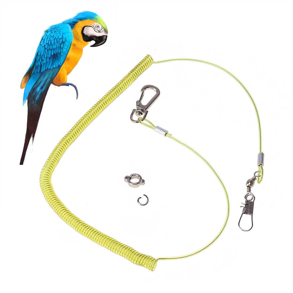 FONDOTIN Bird Leash for Parrots Parrot Bird Harness Leash PP 1Set ...