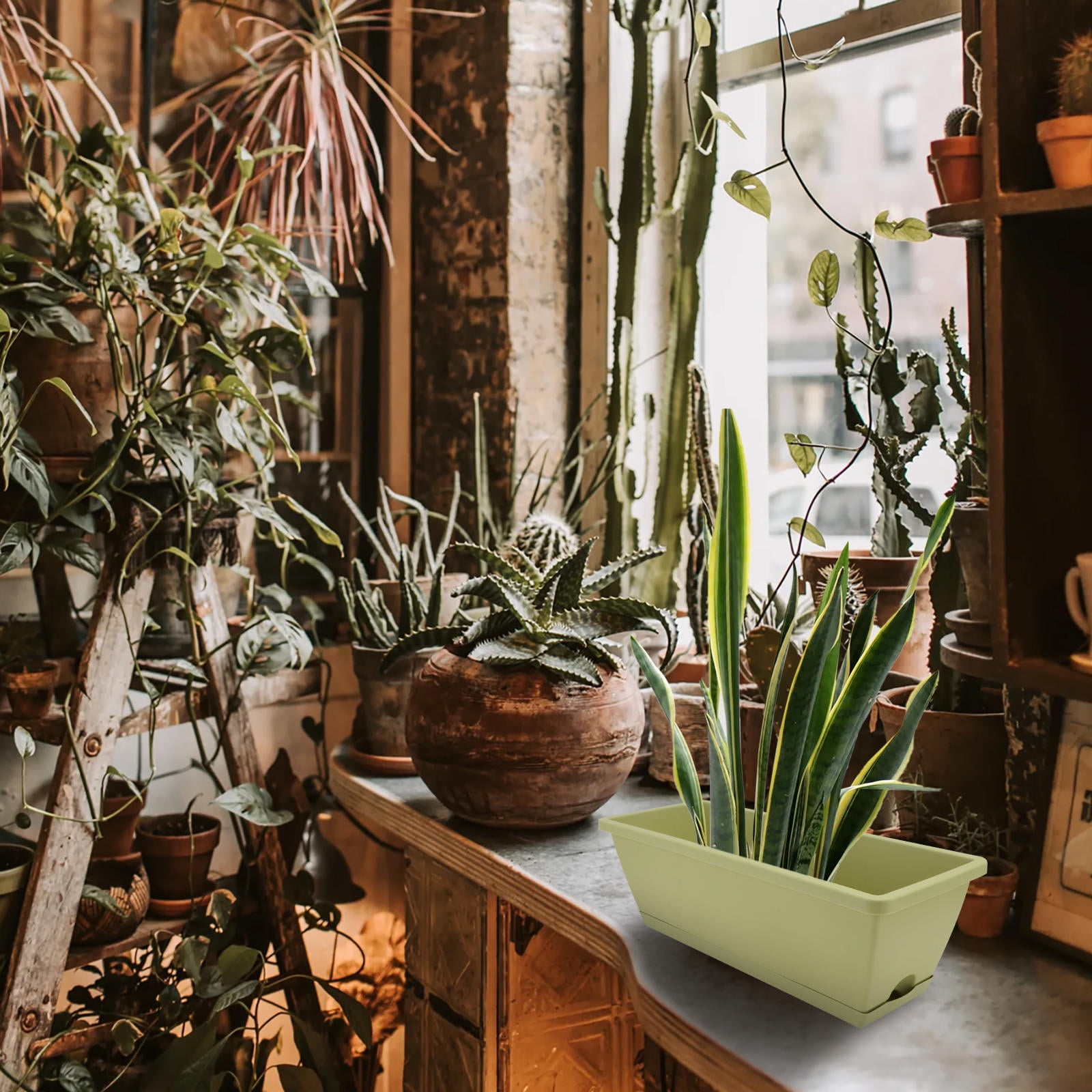 Worgeous Green Resin Plant Basin for Garden Storage with Thickened ...