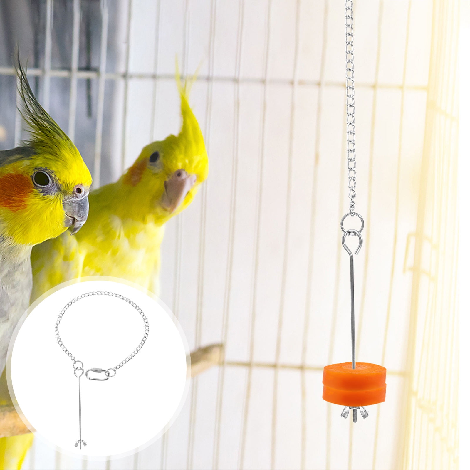 Worgeous Hanging Bird Food Holder Hanging Bird Feeders Treat Skewer ...