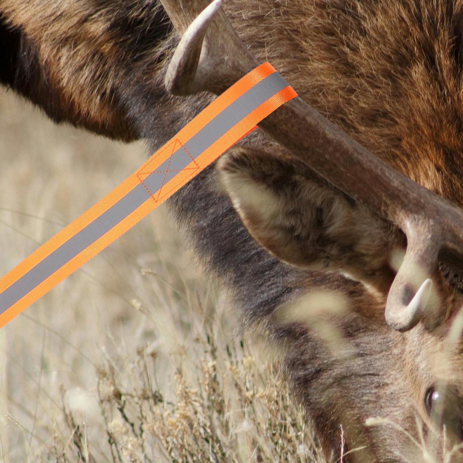 Worgeous Heavy Duty Deer Dragging Harness Reflective Pulling Strap ...