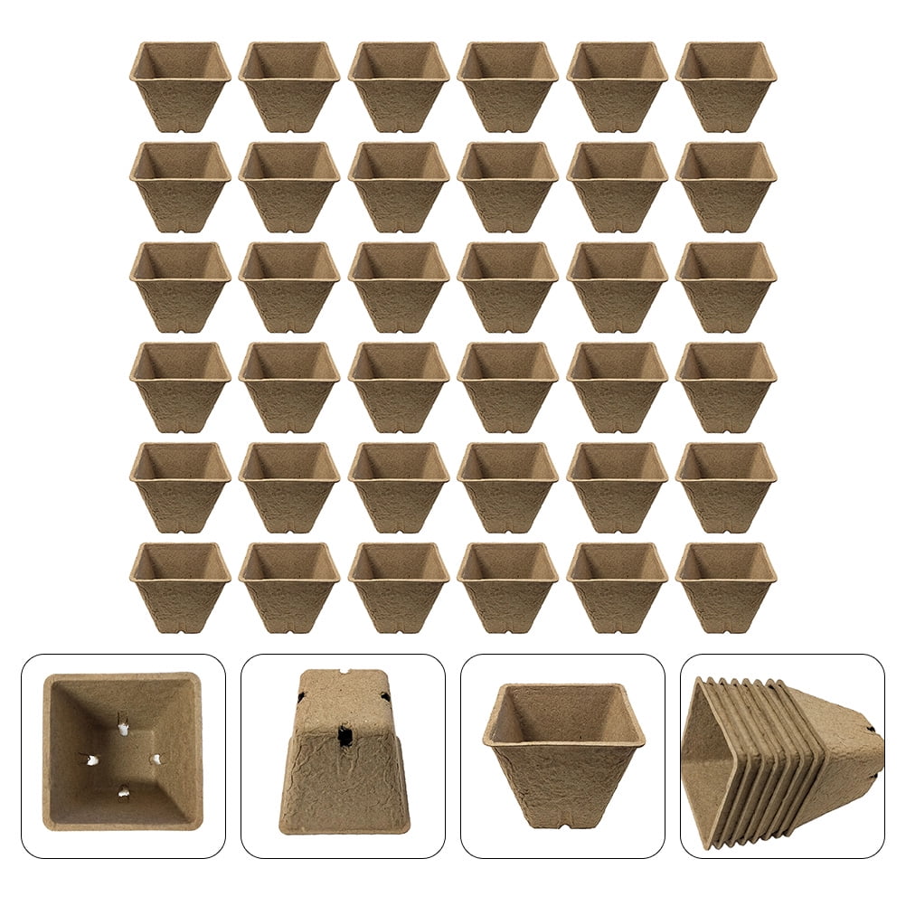 Worgeous Khaki Paper Cups for Succulent Planting and Transplanting with ...