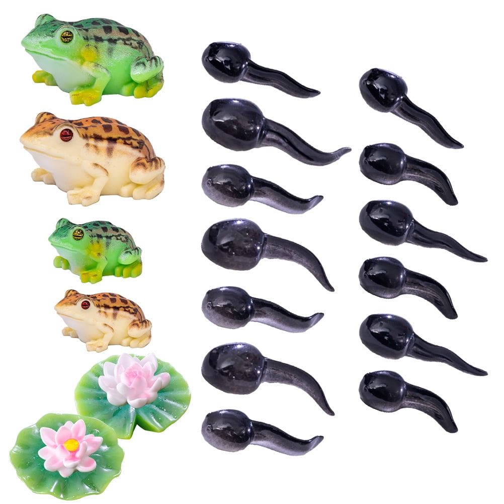Worgeous 青 蝌蚪装饰 Micro Tadpoles Frog Miniature Figurines Child Toddler ...