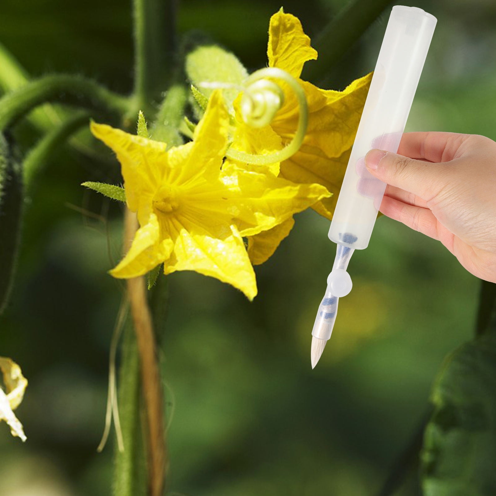 Worgeous MultiFunctional Manual Pollinator Tool for Effective Vegetable ...