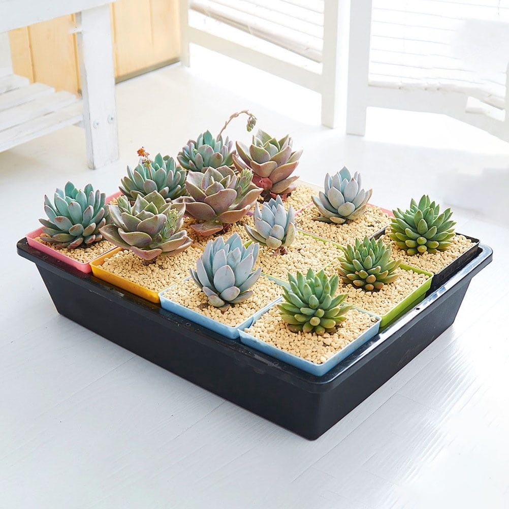 Worgeous Plant Growing Starter Greenhouse Planting Container Garden ...