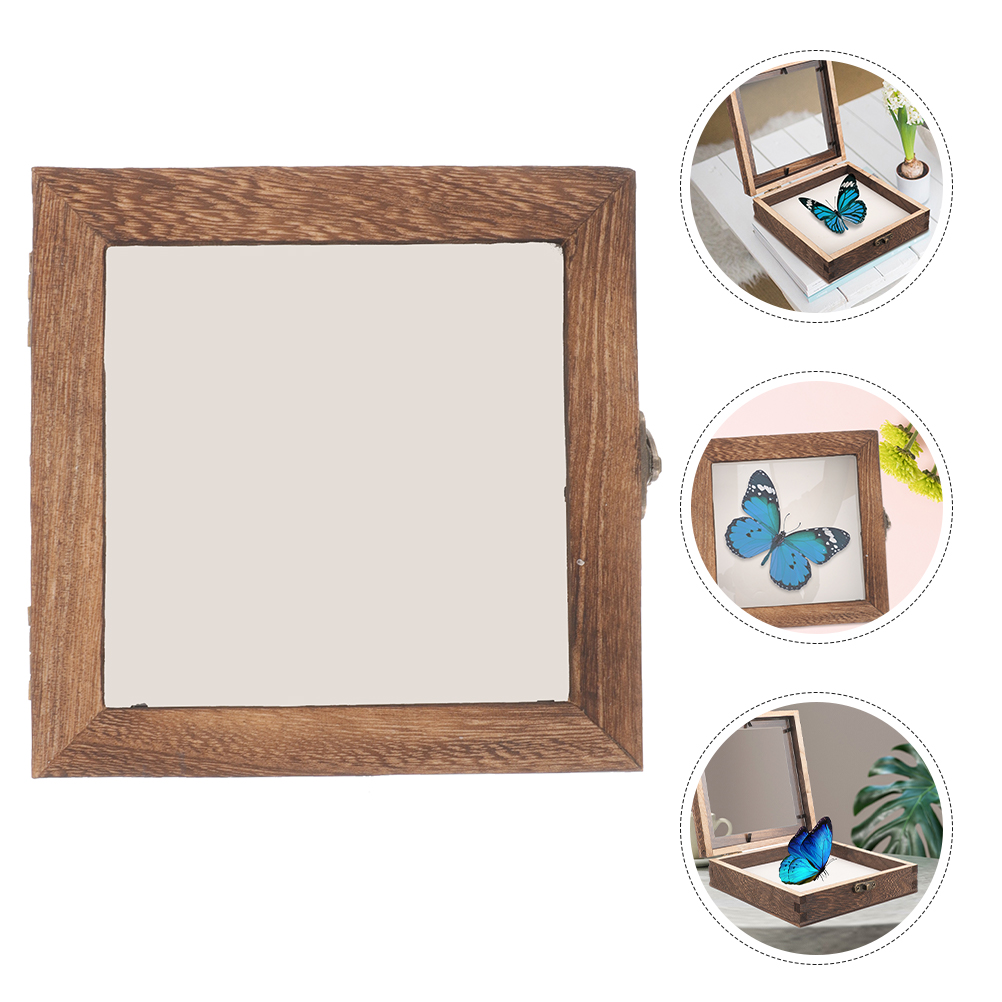 Worgeous Plant Specimen Display Box Wooden Lidded Display Box Insect ...