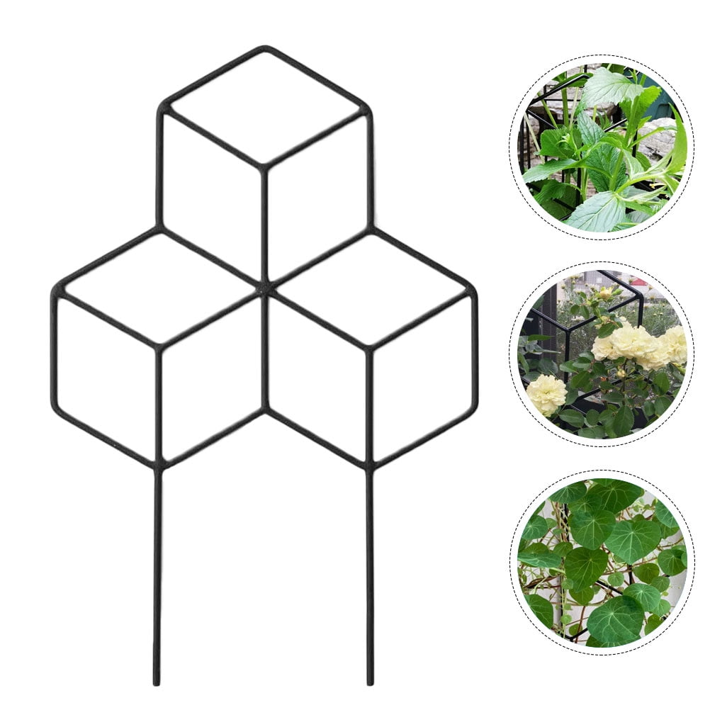 Worgeous Plant Support Frame for Climbing Plants and Flowers 3 Hexagon ...