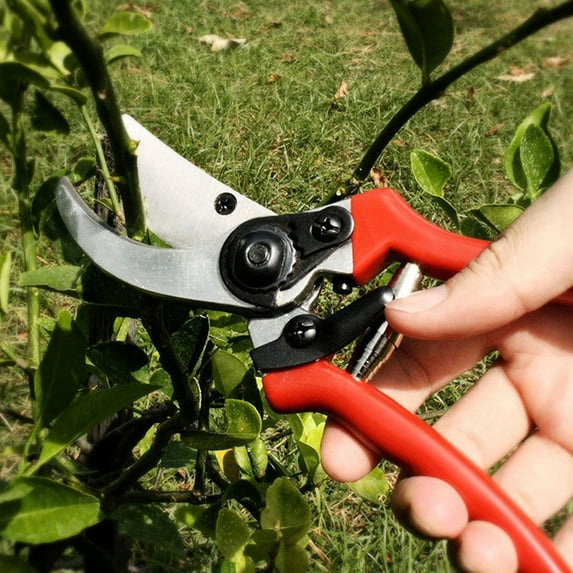 Worgeous Pruning Shears Grafting Tool Kit Garden Hedge Clippers Scissors - Walmart.com