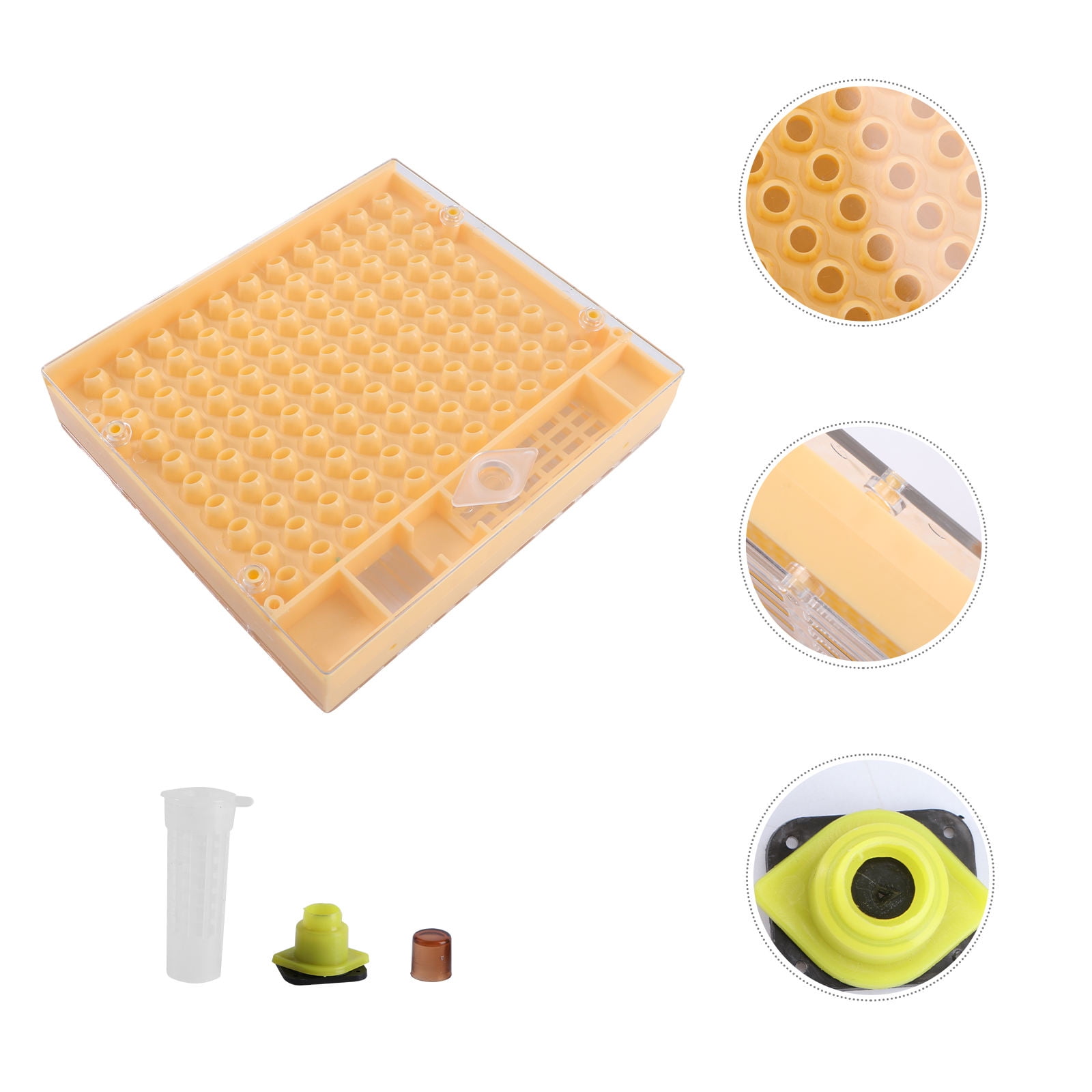 Worgeous Beekeeping Supplies Bee Rearing Cup Kit System Plastic 1 Set ...