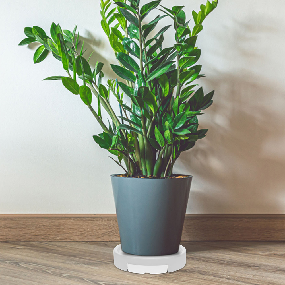 Worgeous Round Rolling Plant Tray Planter Holder with Wheels 1 Set ...