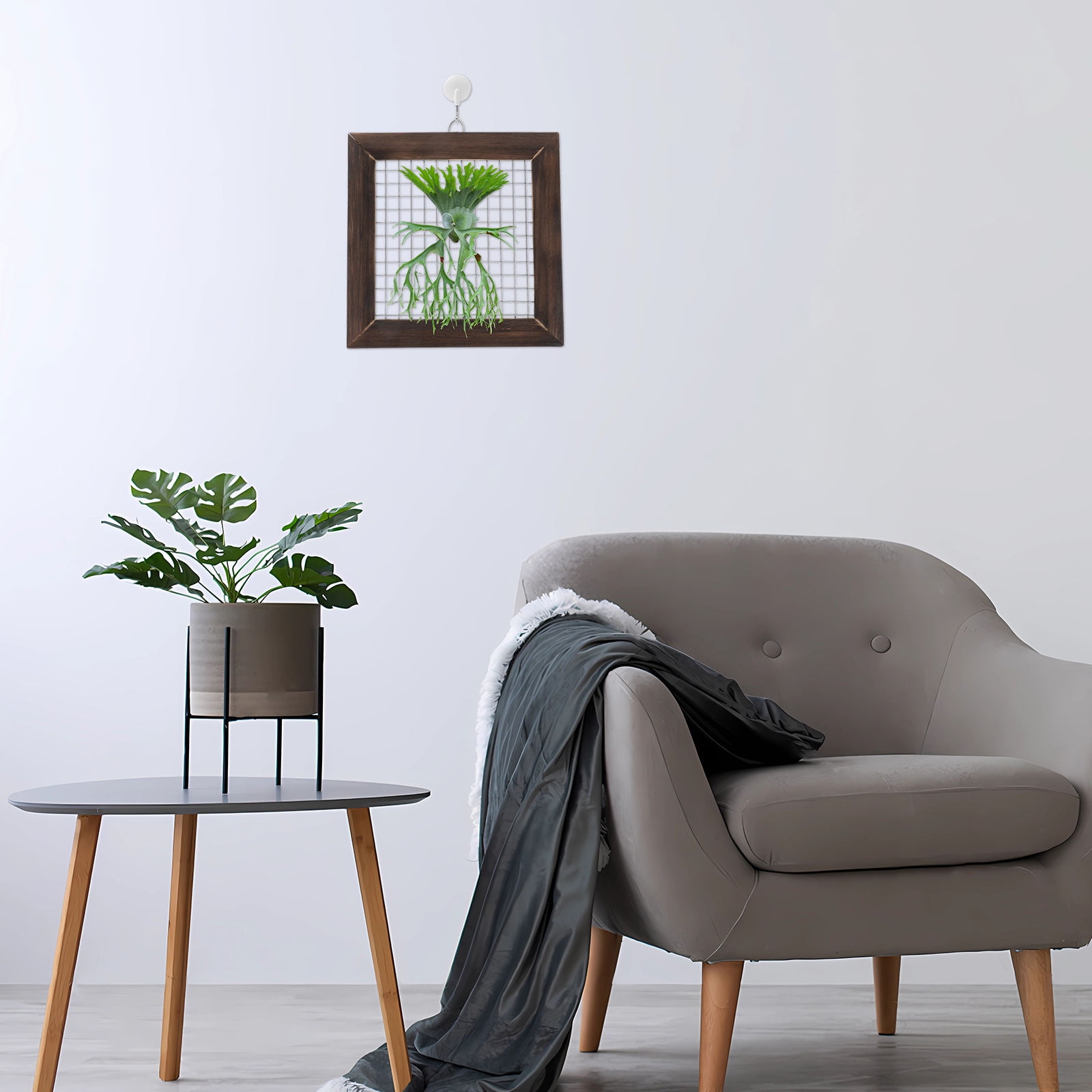 Worgeous Rustic Wooden Air Plant Holder DIY House Plants Planting Frame ...