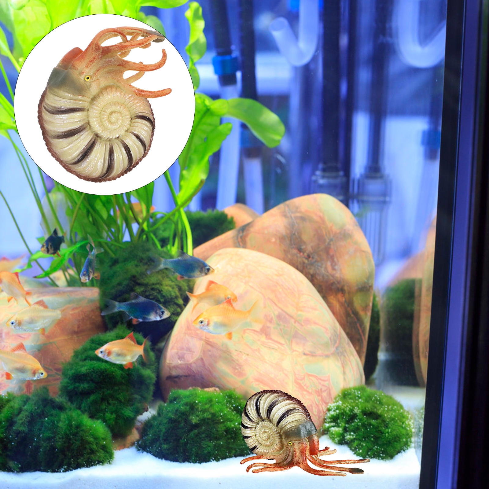 COSMOBETTY Nautilus Model Mini Sea Creatures Plastic Sea Animals Toys ...